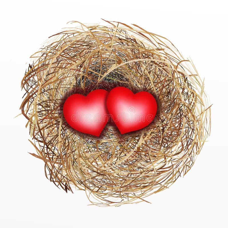 Nicely Built Bird Nest with Two Red Heart Stock Illustration ...