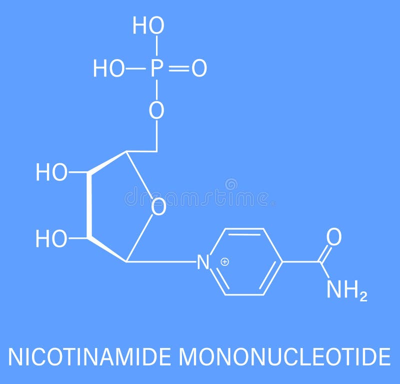 Nicotinamide Mononucleotide Molecule. Stock Vector - Illustration of ...