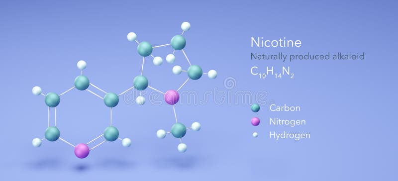 Nicotine, Molecular Structures, Naturally Alkaloid, 3d Model ...