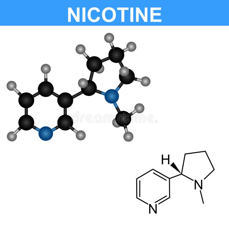 Chemical Structure Of Nicotine Stock Illustration - Illustration of ...