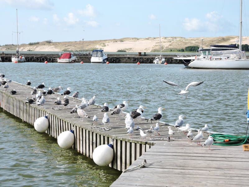Nida City Marina , Lithuania Stock Photo - Image of neringa, resort ...