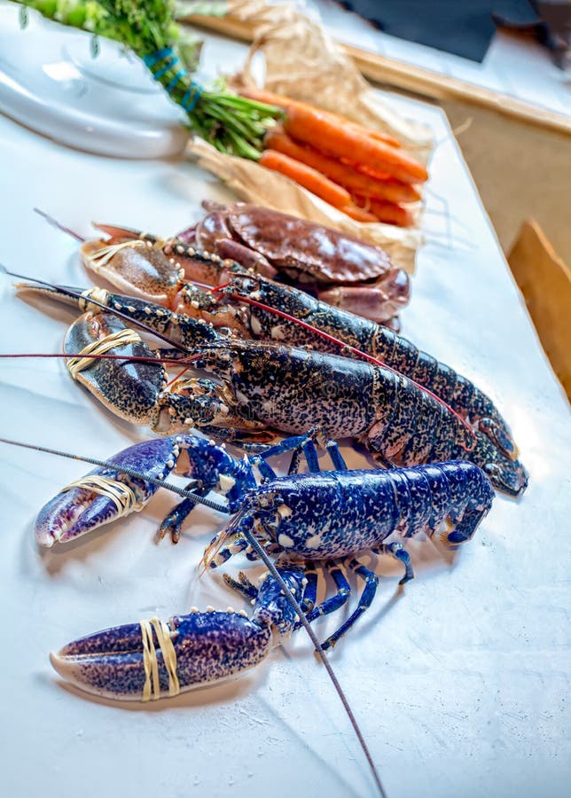 107 Niebieski Homar zdjęć stockowych - bezpłatne i z licencją Royalty ...