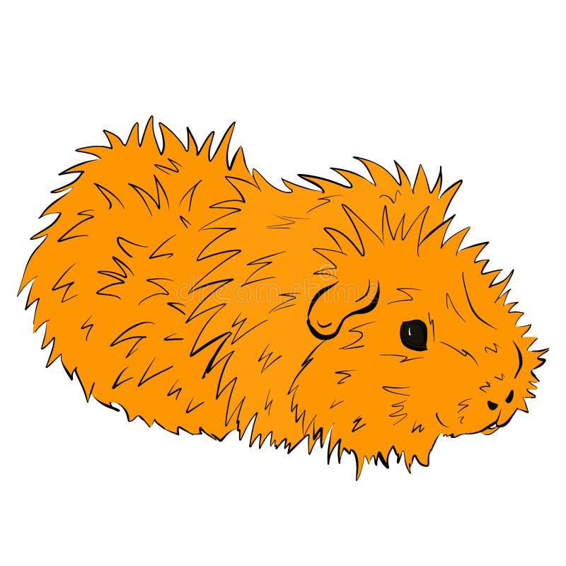 Niedliche Meerschweinchen Oder Meerschweinchen Haustier Cartoon ... Niedliche Meerschweinchen Oder Meerschweinchen Haustier Cartoon ...