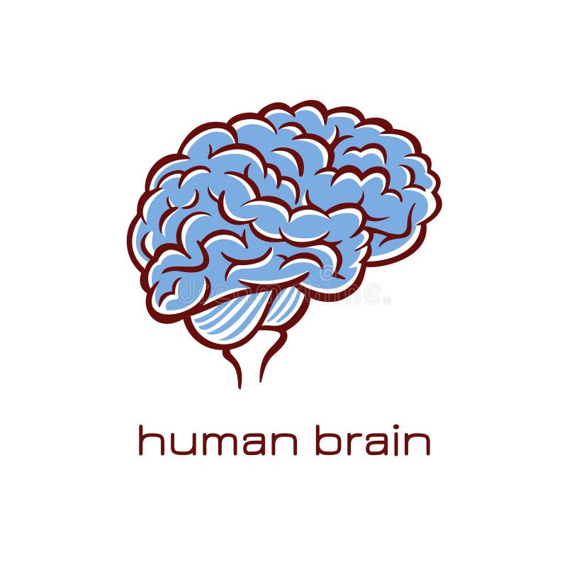 Human Brain Symbol. Vector Illustration. Stock Vector - Illustration of ...