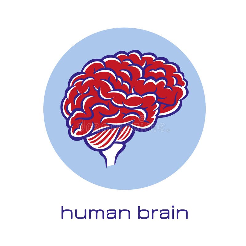 Human Brain Symbol. Vector Illustration. Stock Vector - Illustration of ...