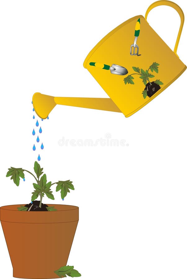 Nieuw Begin Met Het Water Geven Vector Illustratie - Illustration of ...