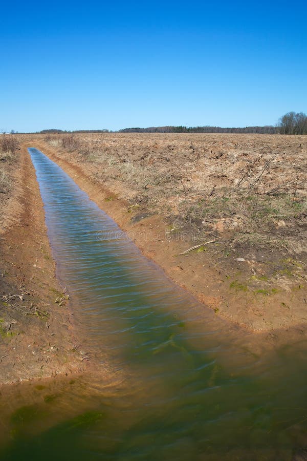 Nieuwe sloot. stock foto. Image of nieuw, droog, laagland - 39841554