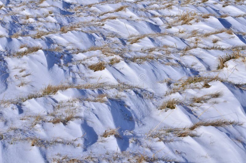 Nieve E Hierba Seca Dobladas Foto de archivo - Imagen de fotogénico ...