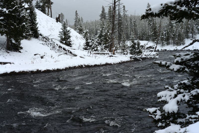 6,648 Yellowstone Winter Snow Fotos de stock - Fotos libres de regalías ...