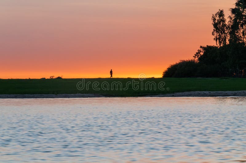 Niger stock photo. Image of meadow, skyline, forest, color - 51143280