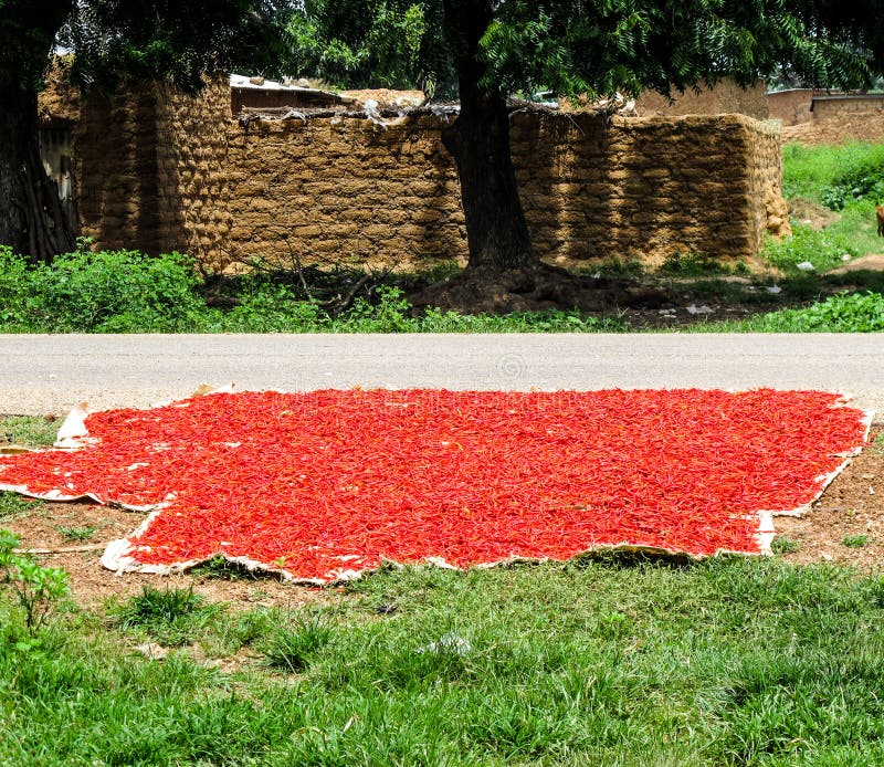 Nigeria in the summer stock photo. Image of sights, nigeria - 110507382