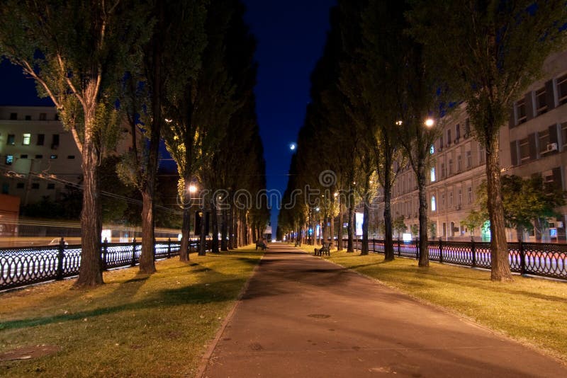 Night alley stock photo. Image of background, garden - 40053150