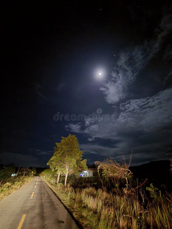 Night alone ride along stock photo. Image of ride, blue - 262571478