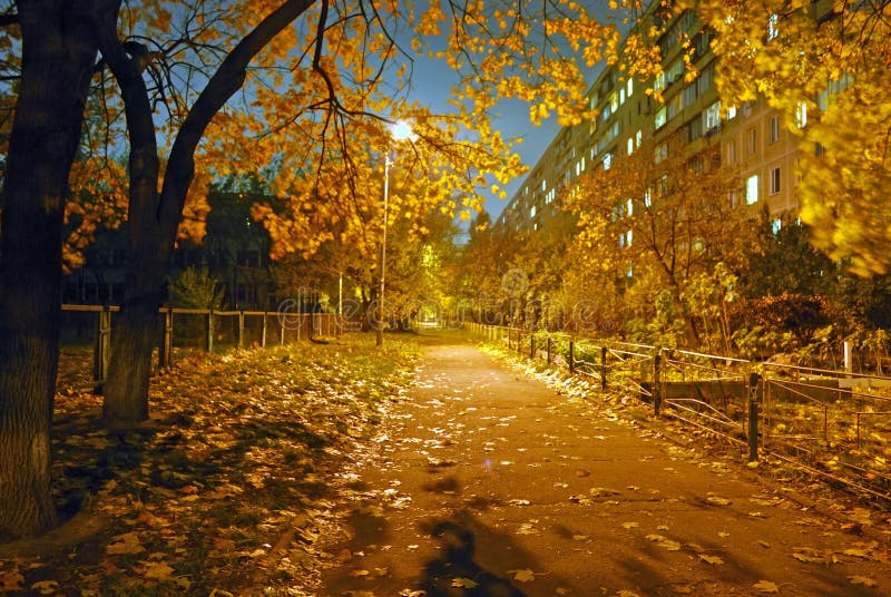 Night and autumn. stock image. Image of avenue, mystery - 7094511