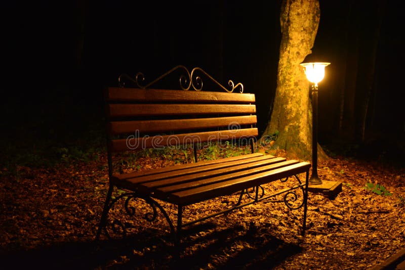 Night bench stock photo. Image of alexandria, nature - 80066636