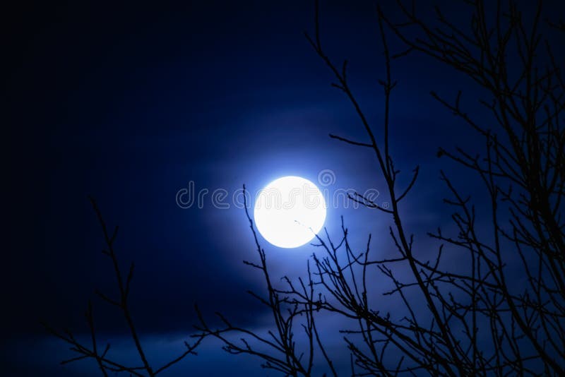 Night Big Moon in the Twilight Sky with Beautiful Lighting. the ...