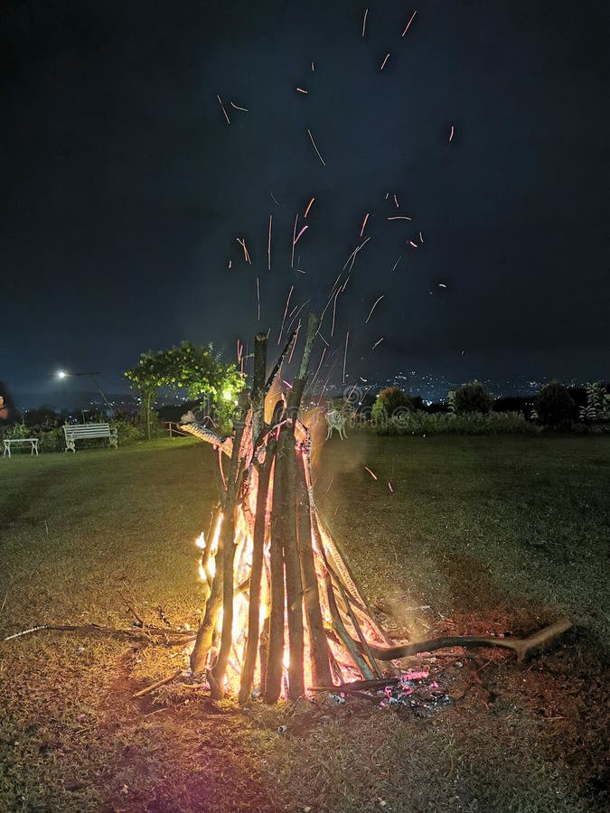 Night bonfire barbeque stock image. Image of night, screenshot - 261788103