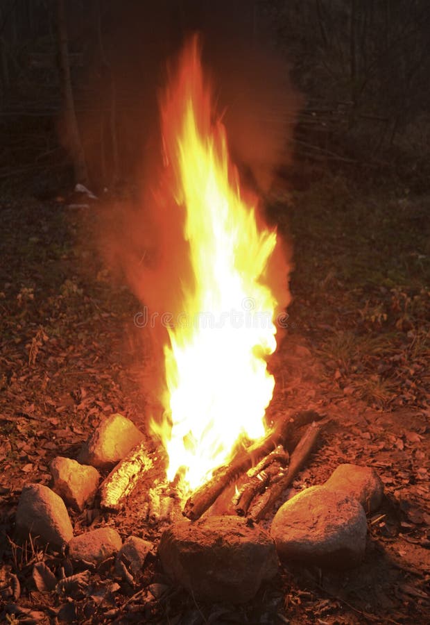 Night bonfire in the woods stock photo. Image of extreme - 49821872