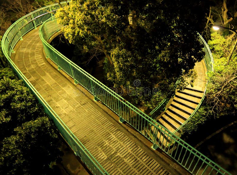 Night Bridge and Trees Under the Light Stock Photo - Image of shadow ...