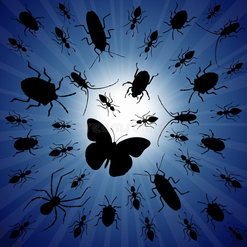 Night bugs stock illustration. Illustration of nighttime - 62357582