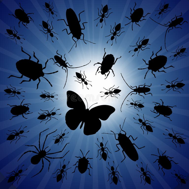 Bugs Night Stock Illustrations – 832 Bugs Night Stock Illustrations ...