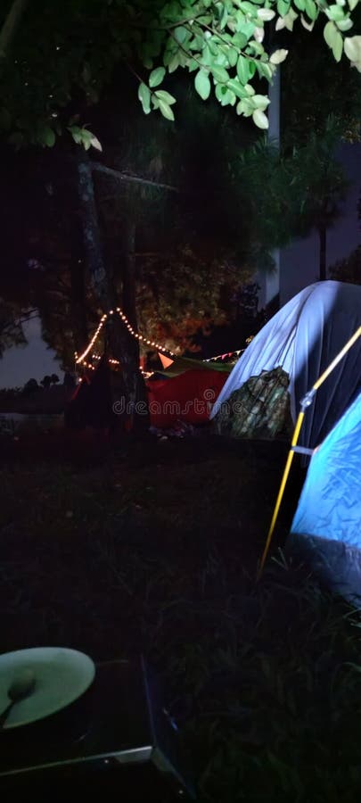 Boy and night camp stock image. Image of boundary, dark - 14302067