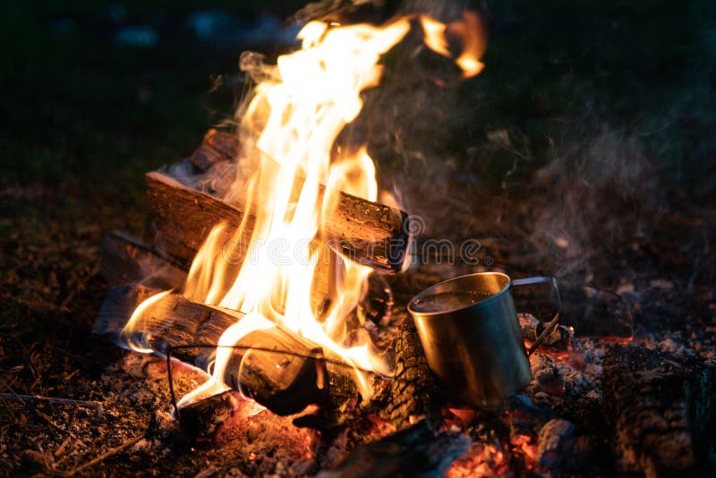 Night Campfire in the Winter Forest. Sparks from Fire Stock Photo ...
