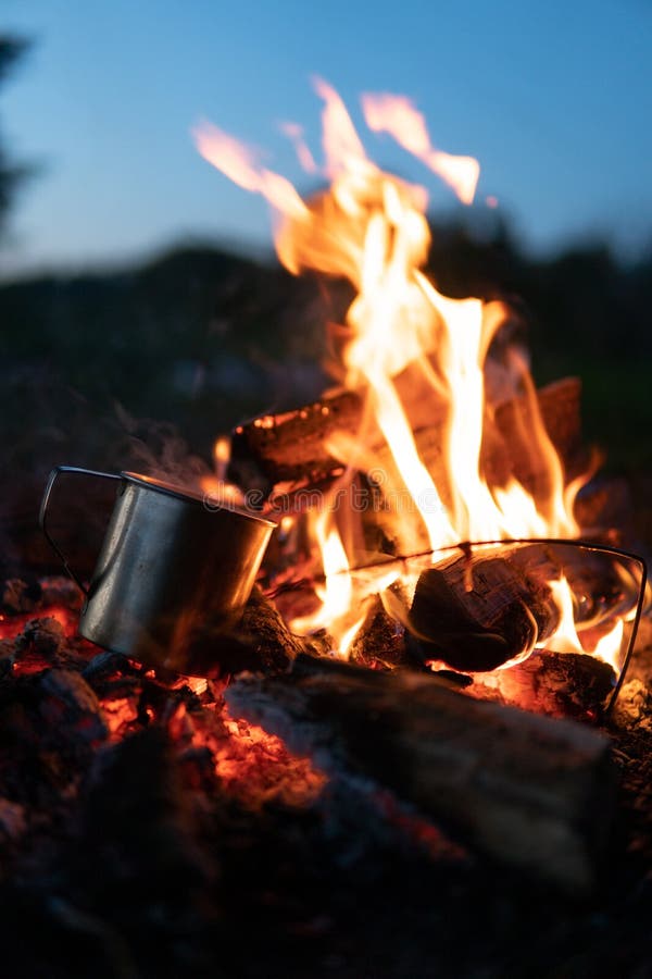Night Campfire in the Winter Forest. Sparks from Fire Stock Image ...