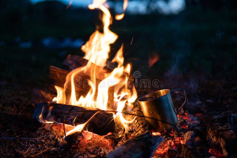 Night Campfire in the Winter Forest. Sparks from Stock Photo - Image of ...