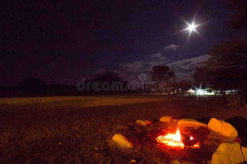 Night Camping Under Trees Lit by a Fire in the Foreground Stock Photo ...