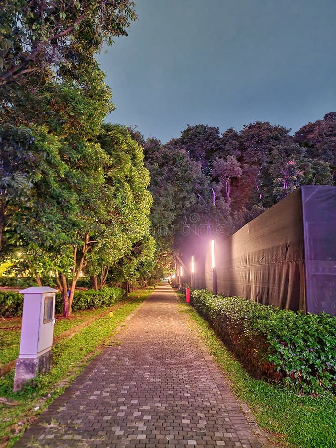 Night City Garden Lamp Green Stock Image - Image of garden, green ...