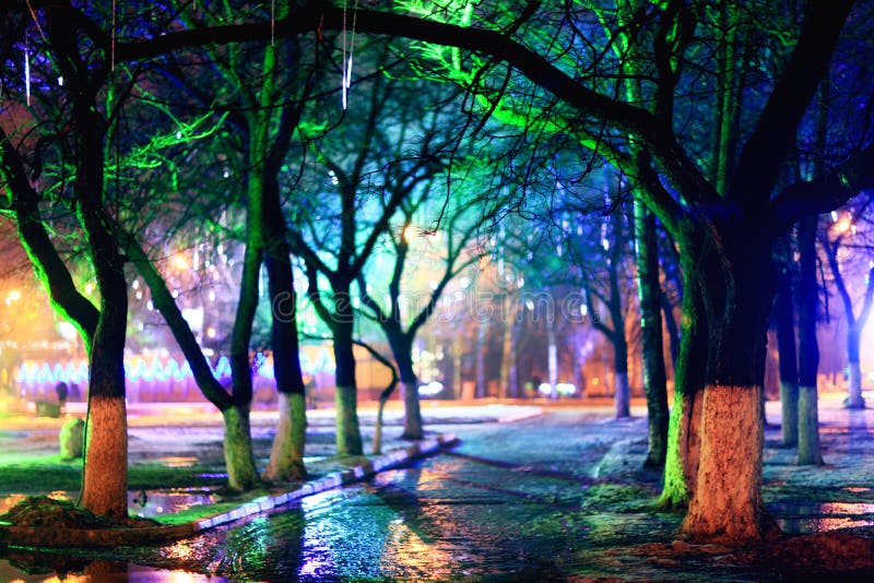 Night city park lights stock image. Image of christmas - 45557835