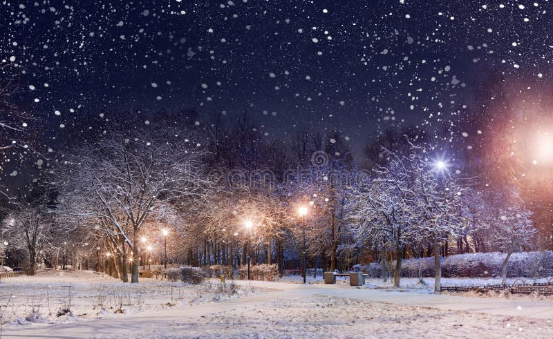 Night city park lights stock image. Image of park, alone - 37673447