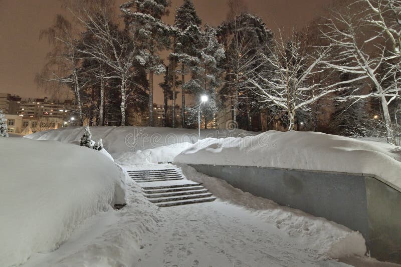 Night City Park during Snowfall. Moscow, Russia Stock Image - Image of ...