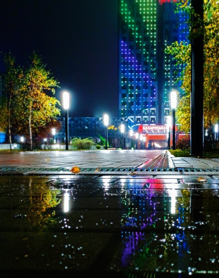 Night City Street and the Reflection in the Puddle Editorial Stock ...
