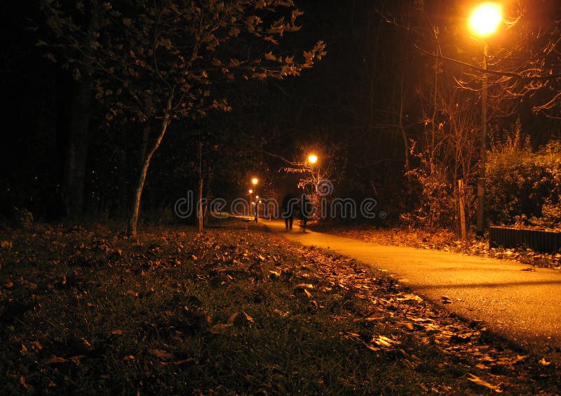 Night couple stock photo. Image of lights, reflecting - 1600738