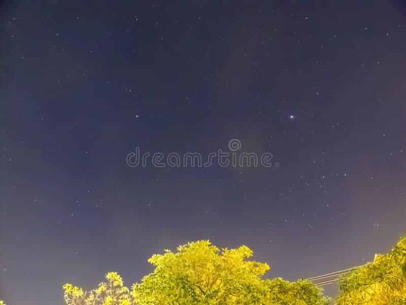 Night of sky with tree stock photo. Image of dark, tree - 111496152