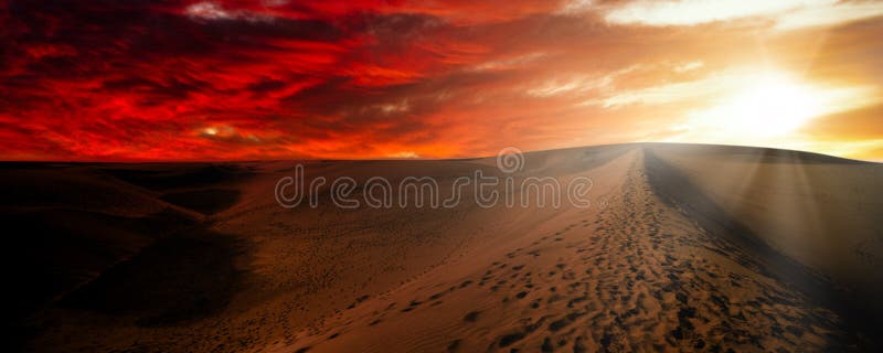 Night in desert stock photo. Image of nature, night, sanddrift - 28724854