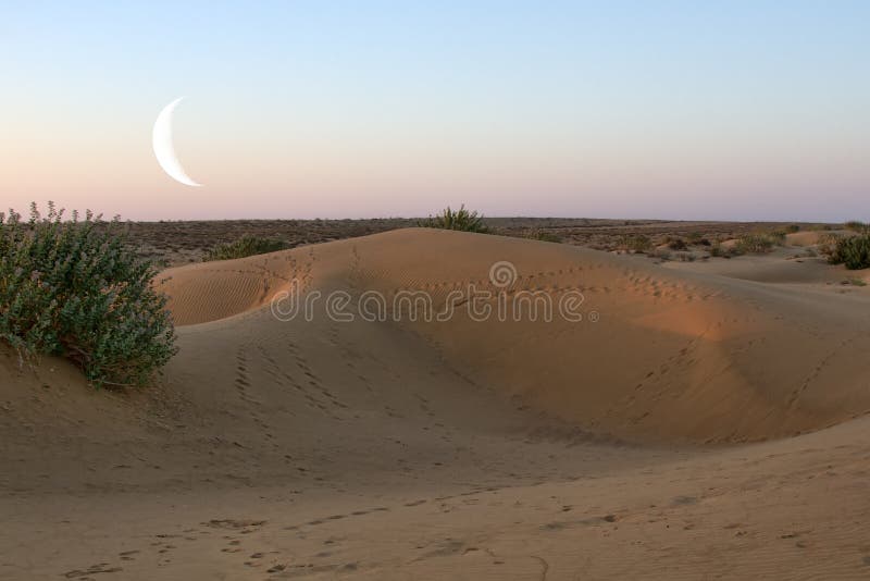 Night desert stock image. Image of sandy, waterless - 194897061