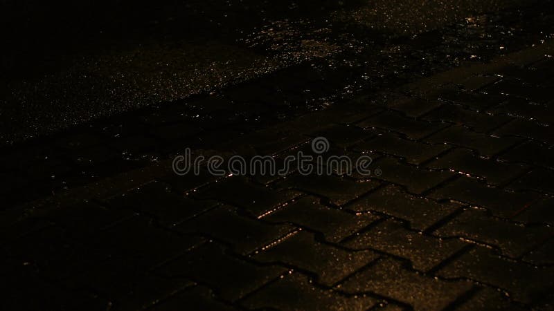 Night Rain and Raindrops Falling into a Puddle. Stock Footage - Video ...