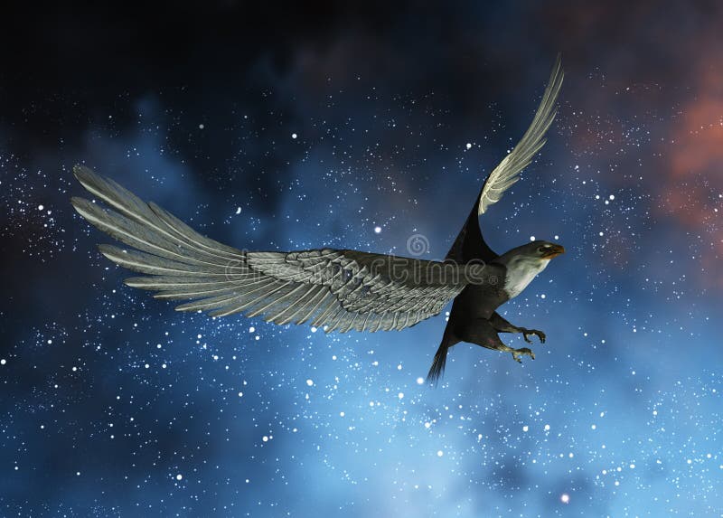 Night Eagle stock illustration. Illustration of stars - 48864364