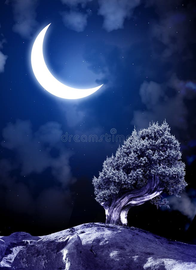 Night fairy tale stock illustration. Illustration of twilight - 13526434