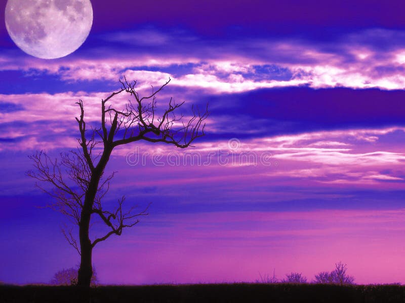 Night fall stock illustration. Illustration of moon, tree - 2735102