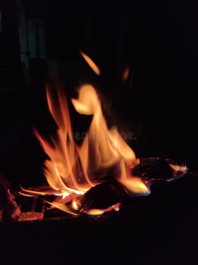 Night Fayer red lighting stock photo. Image of quail - 266386718