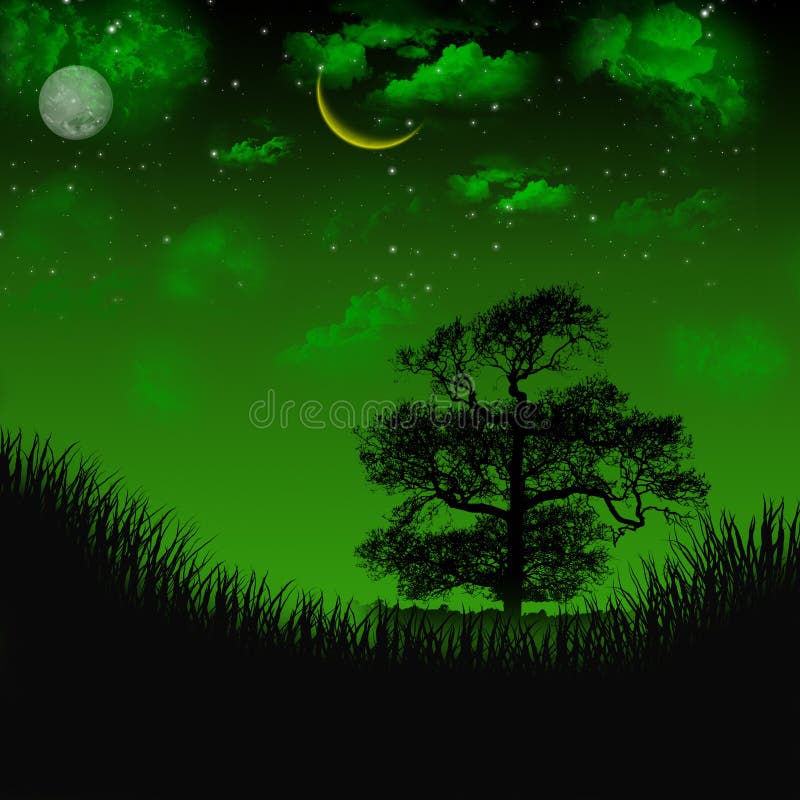 Night forest stock image. Image of orange, night, nature - 2069733