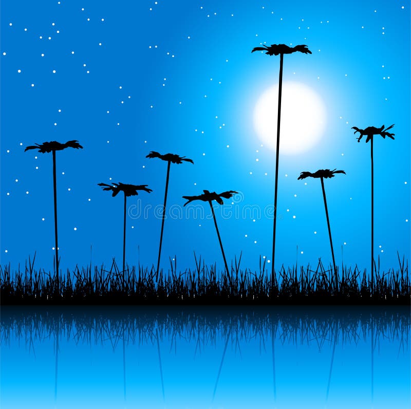 Summer Night. Floral Seamless Background Stock Vector - Illustration of ...