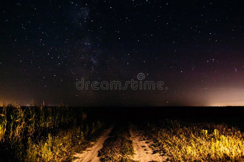 Night Field with Sky and Stars Stock Image - Image of celestial, grass ...