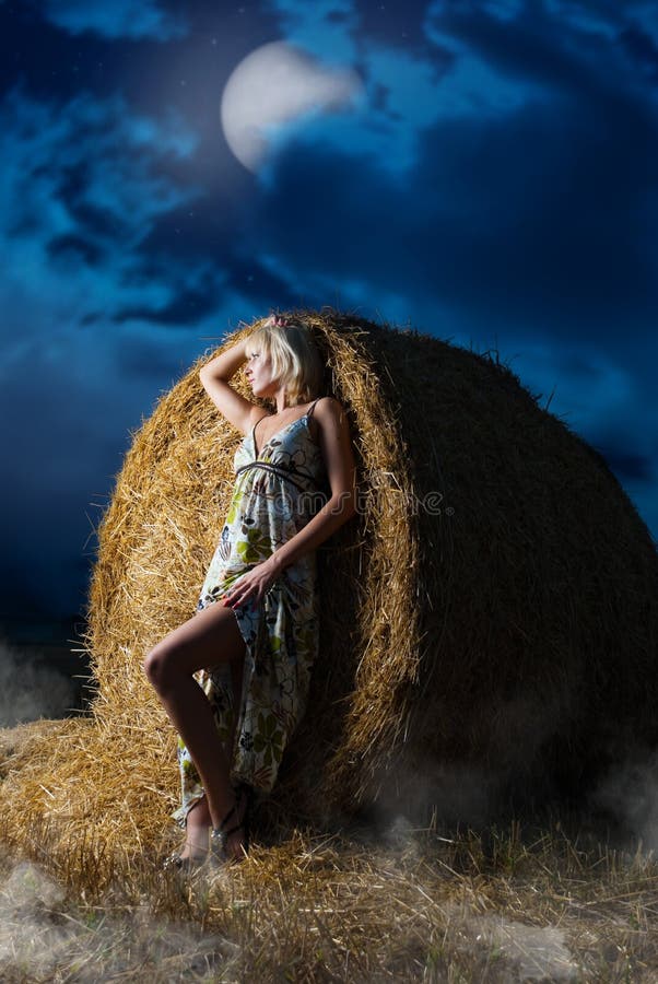 Night field view stock photo. Image of field, hold, moonlight - 15800228