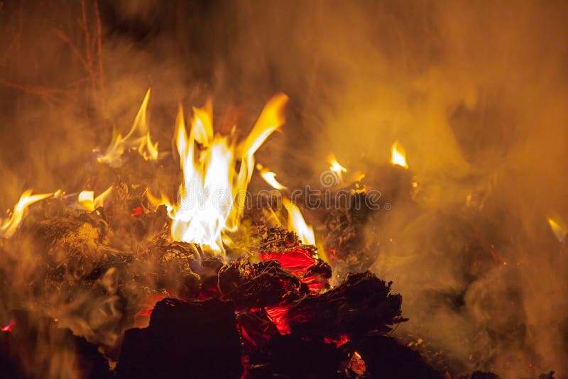 Night fire stock photo. Image of effect, bush, environment - 27112116