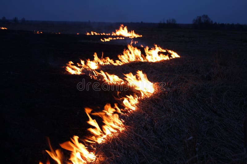 Night fire stock photo. Image of steppe, wallpaper, wallpapers - 697858